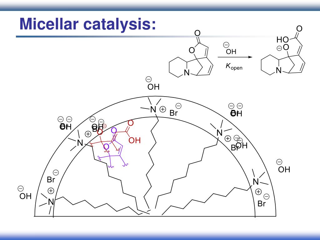 PPT - Surfactants as Catalysts for Organic Reactions in Water ...
