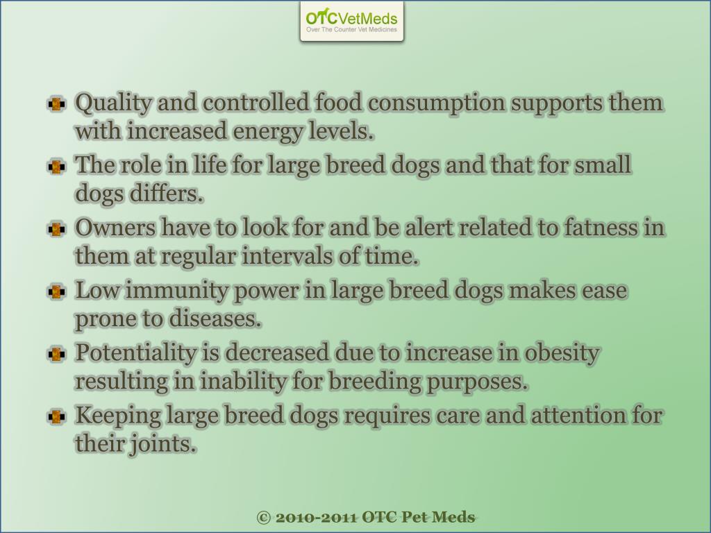 PPT - Extra care for Large breed dogs and their health issues ...