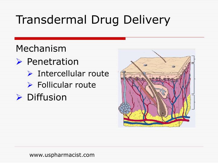 PPT - Methods For Monitoring Transdermal Drug Delivery PowerPoint ...