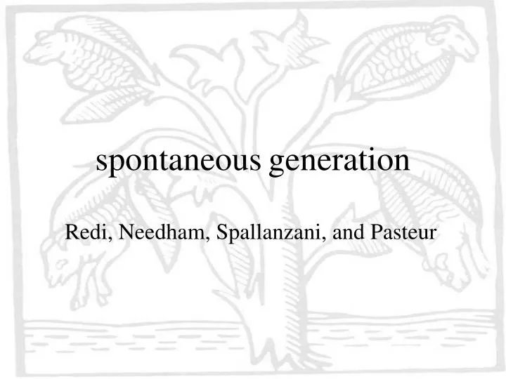 PPT - spontaneous generation PowerPoint Presentation, free download ...