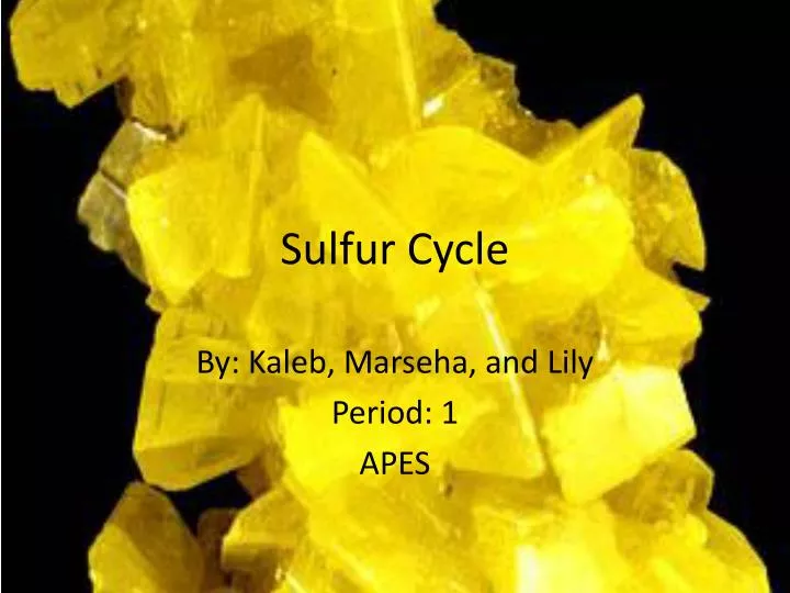 PPT - Sulfur Cycle PowerPoint Presentation, free download - ID:243327