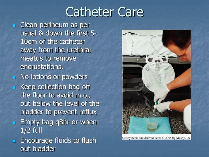 PPT - Hygiene PowerPoint Presentation - ID:24371