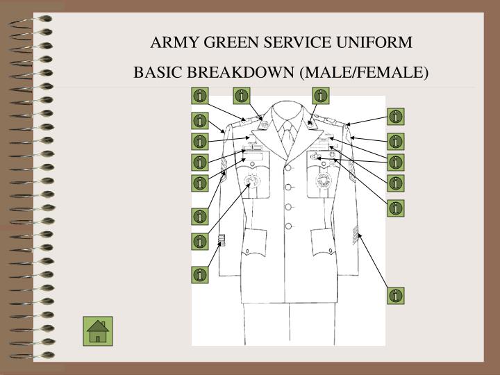 PPT - WEAR AND APPEARANCE OF ARMY UNIFORMS AND INGSIGNIA REFERENCE AR ...