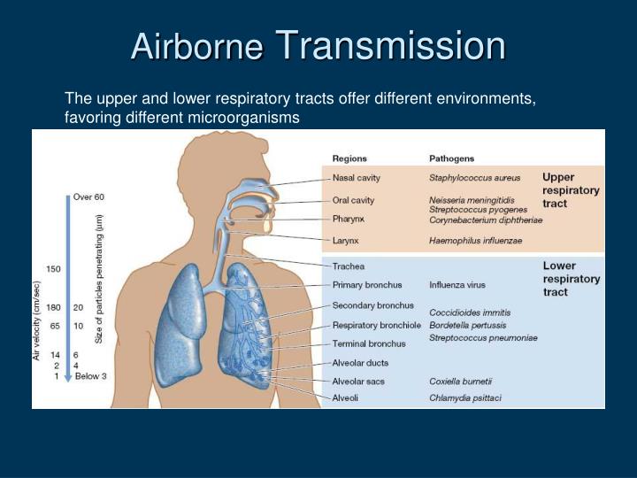 PPT - Microbial Agents of Infectious Diseases PowerPoint Presentation ...