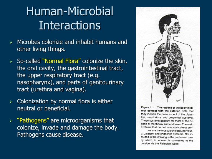 PPT - Microbial Agents of Infectious Diseases PowerPoint Presentation ...