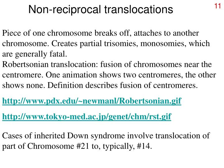 PPT - Chromosomal mutations PowerPoint Presentation - ID:245025