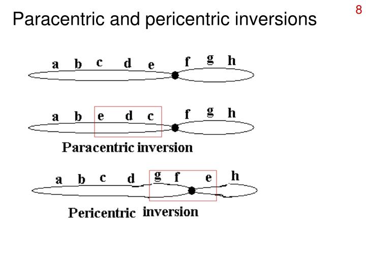 PPT - Chromosomal mutations PowerPoint Presentation - ID:245025
