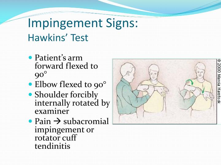 PPT - THE SHOULDER: Evaluation and Treatment of Common Injuries ...