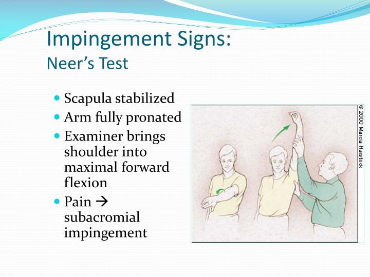 PPT - THE SHOULDER: Evaluation and Treatment of Common Injuries ...