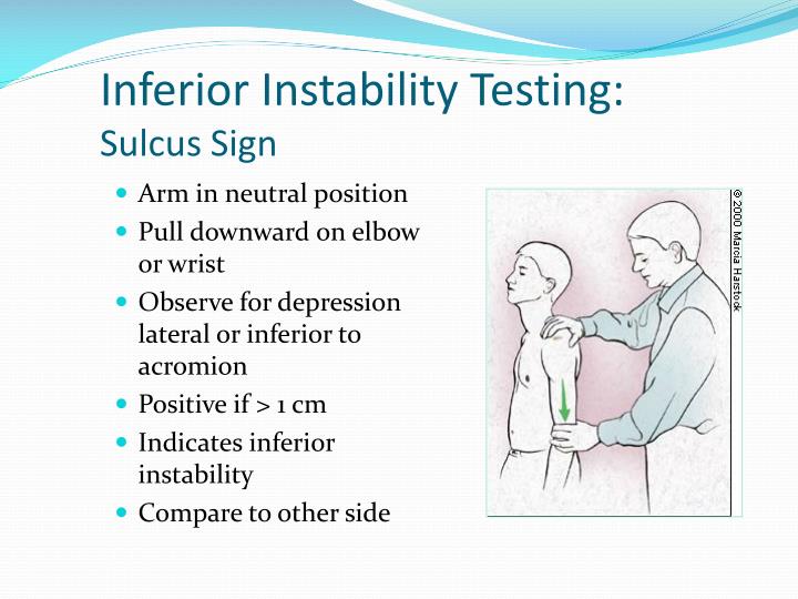 PPT - THE SHOULDER: Evaluation and Treatment of Common Injuries ...