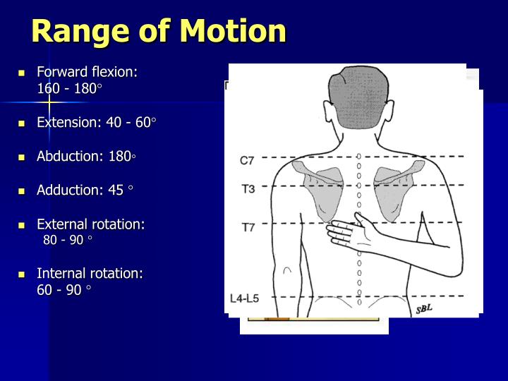 PPT - COMMON SHOULDER PROBLEMS PowerPoint Presentation - ID:245881