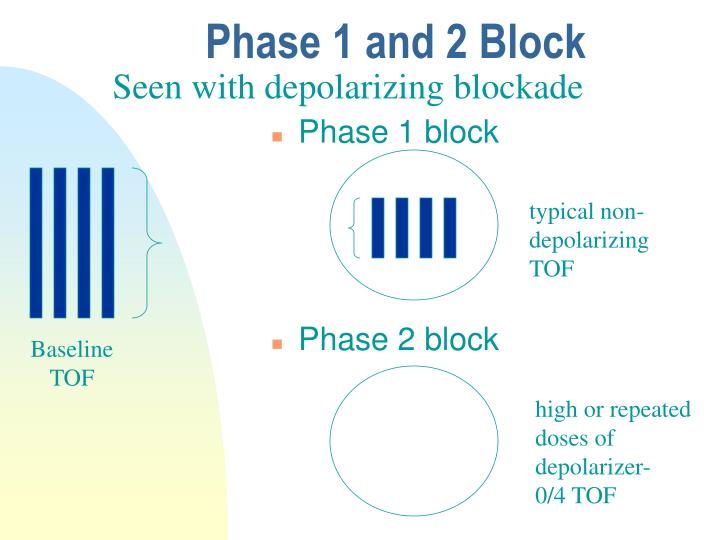PPT - Muscle Relaxants & Nerve Monitoring PowerPoint Presentation - ID ...