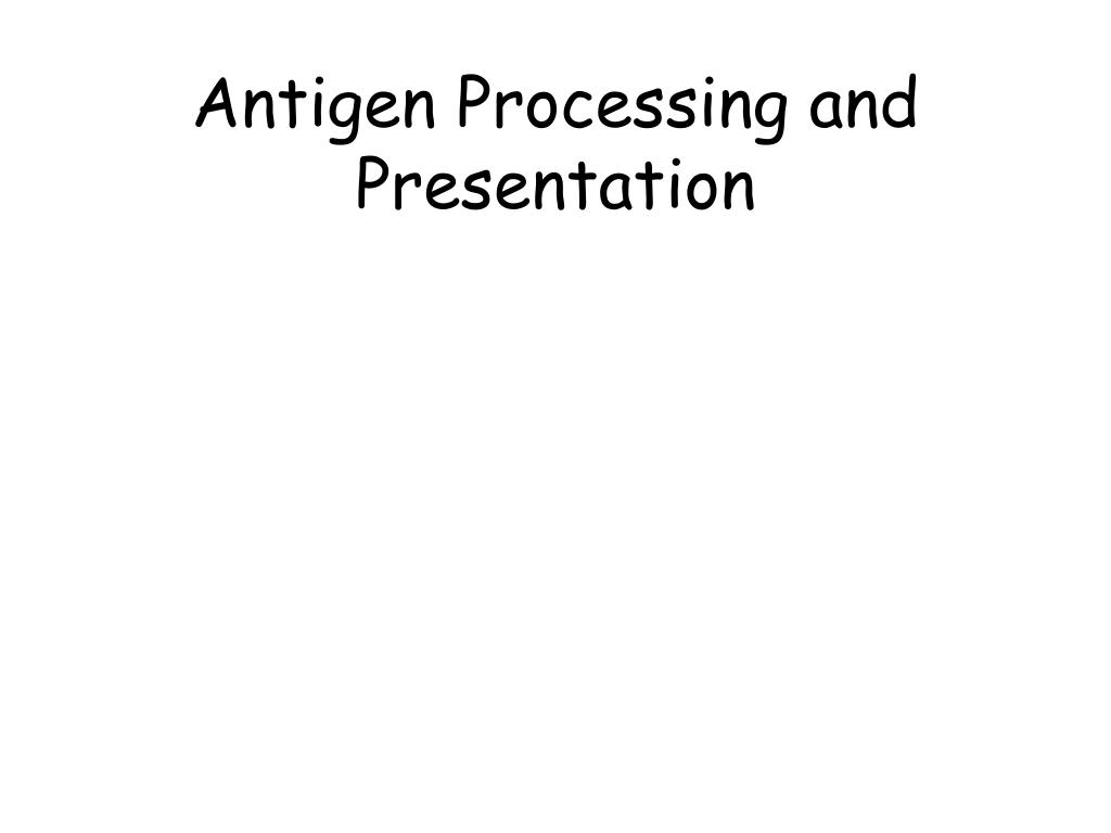 PPT - MHC I, II, Ag-Presentation Kuby, Immunology , 5 th Edition ... PPT - MHC I, II, Ag-Presentation Kuby, Immunology , 5 th Edition ...