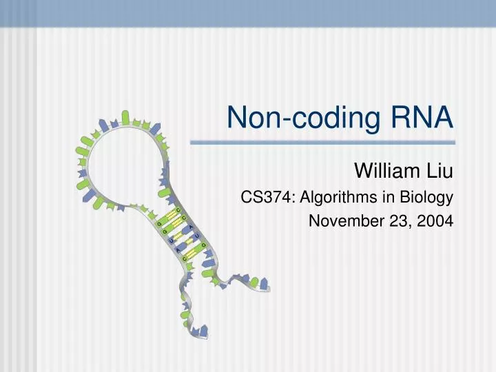 PPT - Non-coding RNA PowerPoint Presentation, free download - ID:247486 PPT - Non-coding RNA PowerPoint Presentation, free download - ID:247486