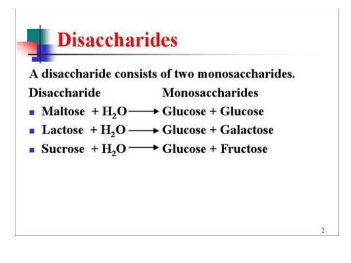PPT - Disaccharides PowerPoint Presentation, free download - ID:247565