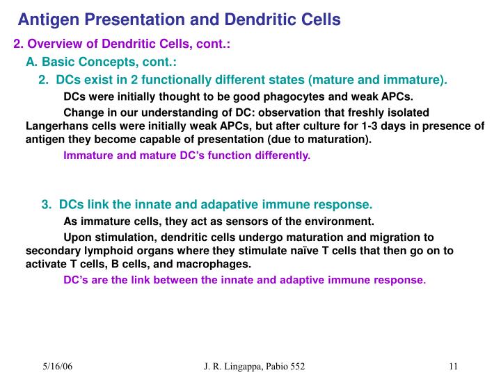 PPT - Antigen Presentation and Dendritic Cells PowerPoint Presentation ...