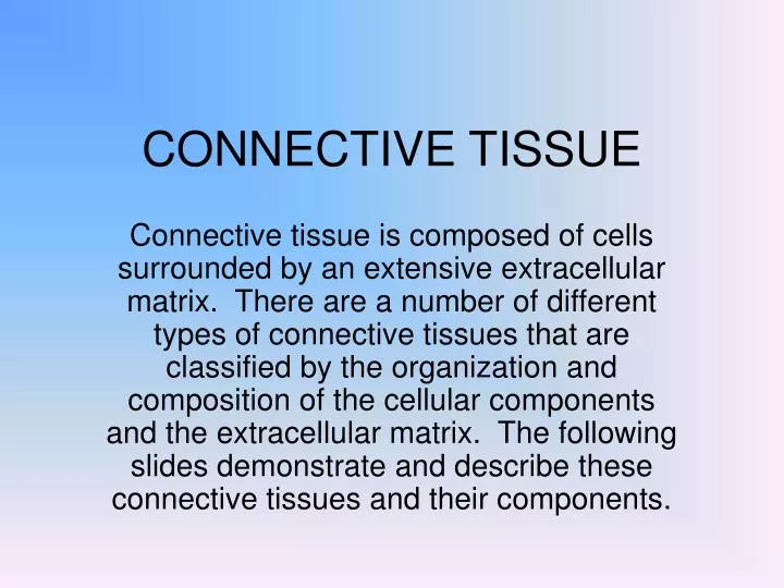 PPT - CONNECTIVE TISSUE PowerPoint Presentation, free download - ID:248047