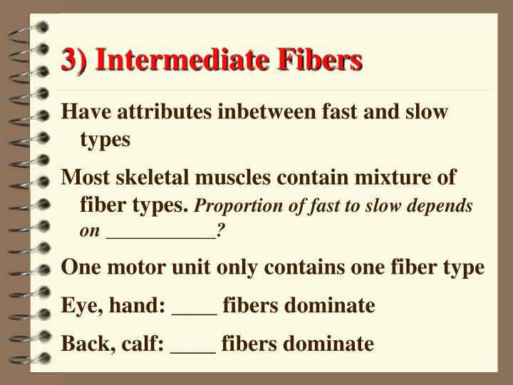 PPT - Ch 9: Skeletal Muscle Tissue and Organization PowerPoint ...