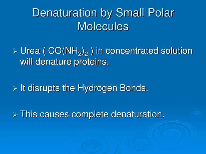 PPT - Denaturation of Proteins PowerPoint Presentation - ID:248596
