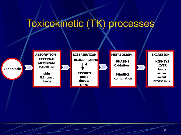 PPT - TOXICOKINETICS PowerPoint Presentation - ID:248643
