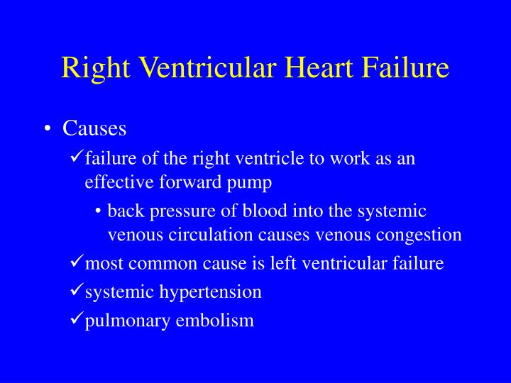 PPT - Respiratory Emergencies: CHF, Pulmonary Edema, COPD, Asthma CPAP ...