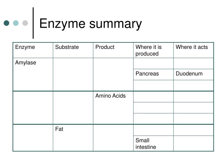 PPT - Digestion PowerPoint Presentation - ID:249767
