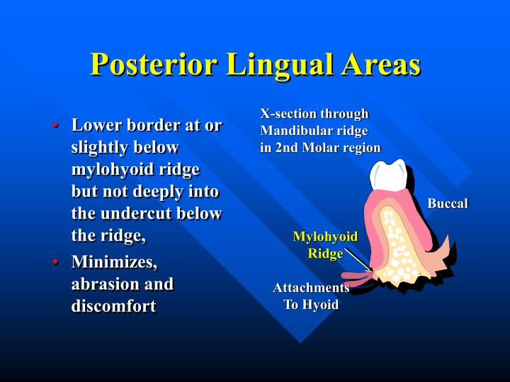 PPT - Border Molding PowerPoint Presentation - ID:249794