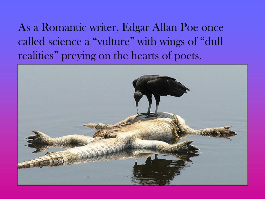 PPT - American Romanticism 1800 - 1860 PowerPoint Presentation, free ...