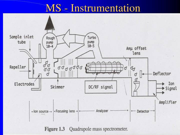 PPT - Molecular Mass Spectrometry PowerPoint Presentation - ID:250465