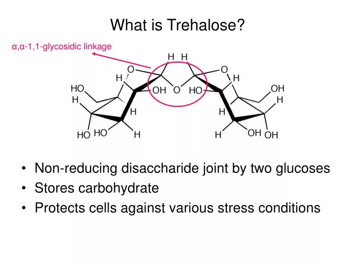 PPT - What is Trehalose? PowerPoint Presentation, free download - ID:250724
