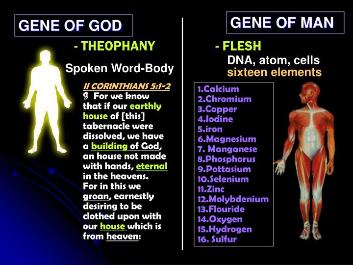 PPT - The FIRST CREATION of MAN as A THEOPHANY BEING PowerPoint ...