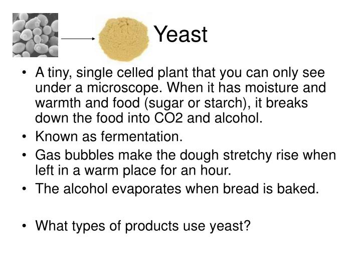 PPT - Raising Agents PowerPoint Presentation - ID:251392