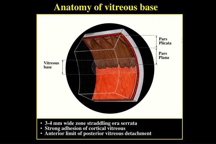 PPT - INTRODUCTION TO RETINAL DETACHMENT (RD) PowerPoint Presentation ...