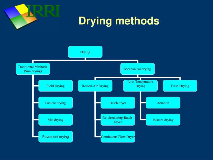 PPT - Paddy Drying Systems PowerPoint Presentation - ID:252572