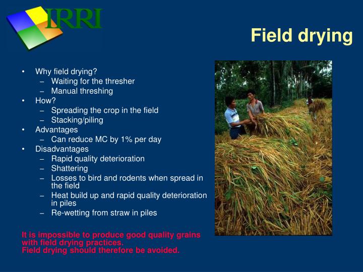 PPT - Paddy Drying Systems PowerPoint Presentation - ID:252572