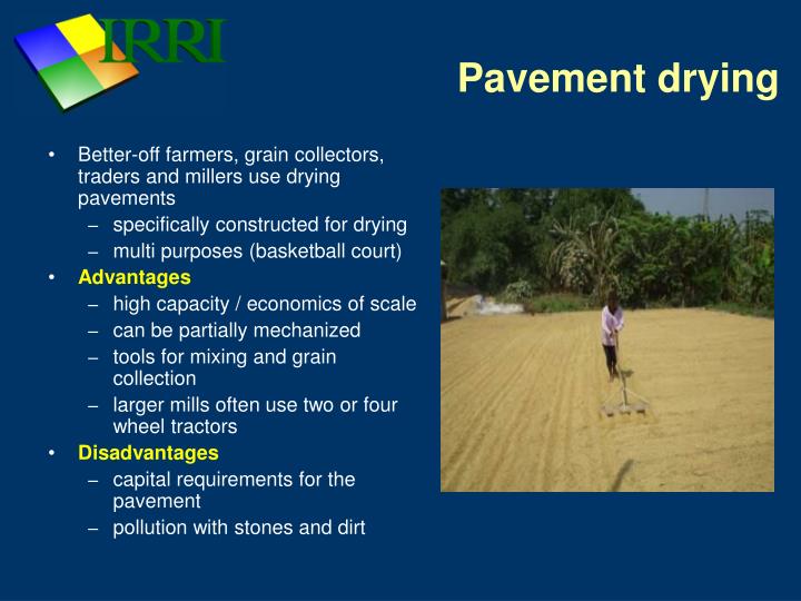 PPT - Paddy Drying Systems PowerPoint Presentation - ID:252572