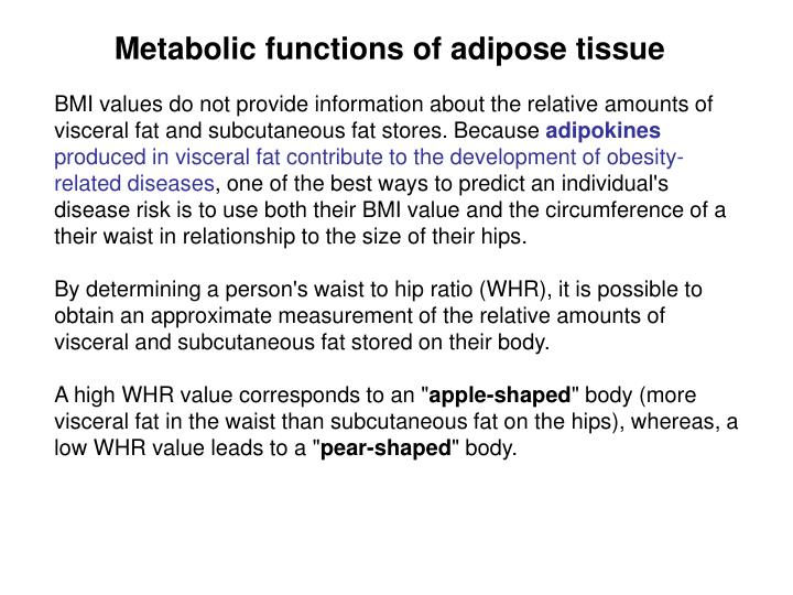 PPT - Metabolic Integration 1: Metabolic profiles of major organs ...