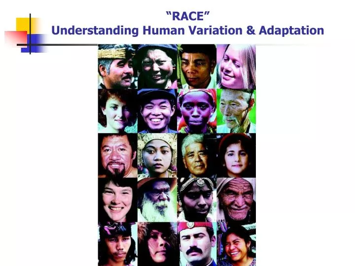 PPT - “RACE” Understanding Human Variation & Adaptation PowerPoint ...