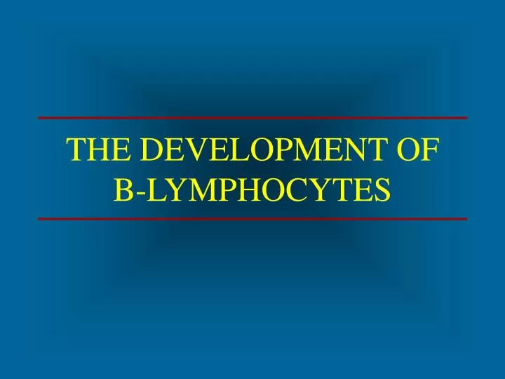 PPT - THE DEVELOPMENT OF B-LYMPHOCYTES PowerPoint Presentation, free ...