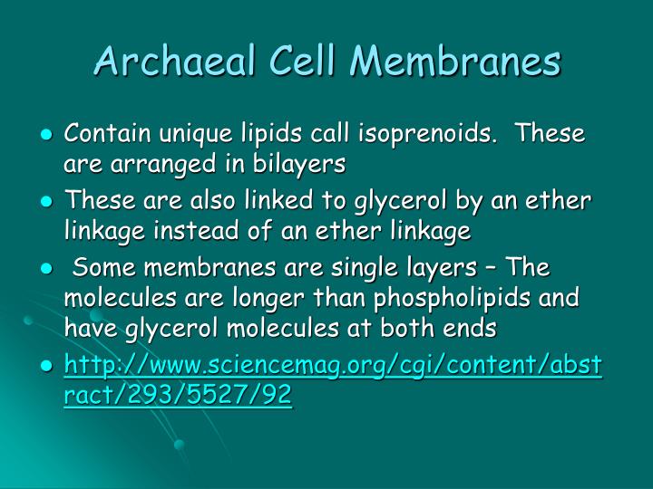 PPT - Prokaryote Cell Structure and Function PowerPoint Presentation ...