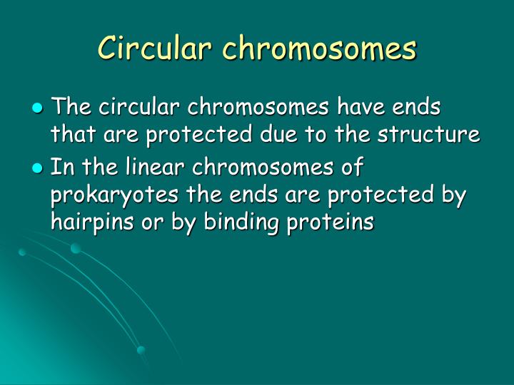 PPT - Prokaryote Cell Structure and Function PowerPoint Presentation ...