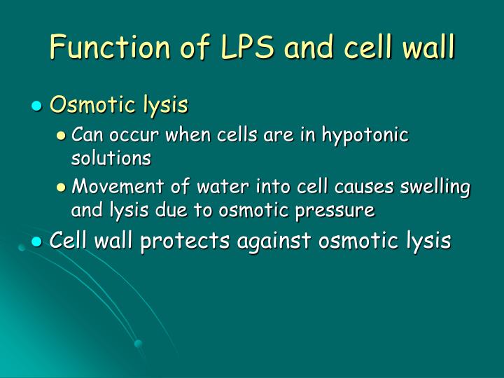 PPT - Prokaryote Cell Structure and Function PowerPoint Presentation ...