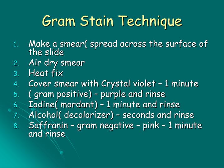 PPT - Prokaryote Cell Structure and Function PowerPoint Presentation ...