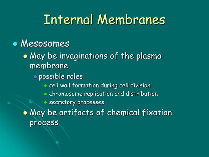 PPT - Prokaryote Cell Structure and Function PowerPoint Presentation ...