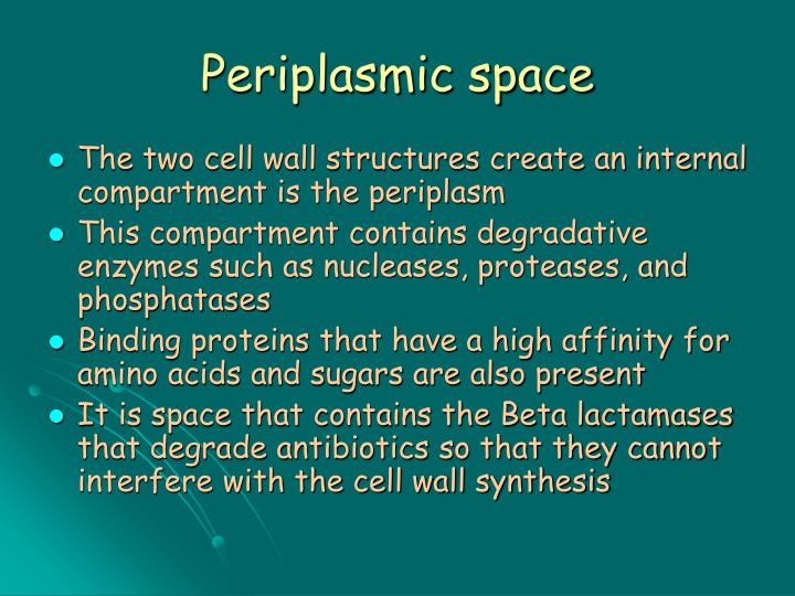 PPT - Prokaryote Cell Structure and Function PowerPoint Presentation ...