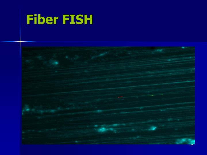 PPT - GENETIC DIAGNOSTIC METHODS PowerPoint Presentation - ID:255627