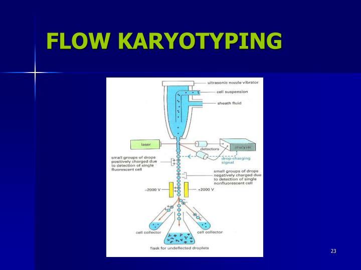 PPT - GENETIC DIAGNOSTIC METHODS PowerPoint Presentation - ID:255627