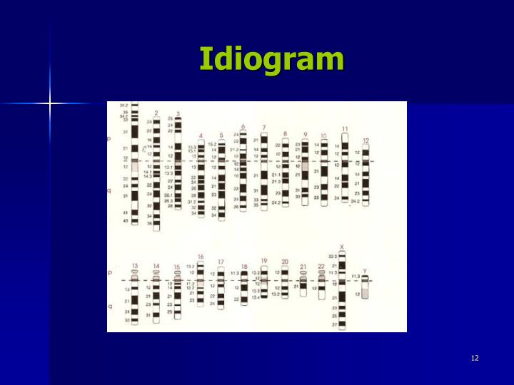 PPT - GENETIC DIAGNOSTIC METHODS PowerPoint Presentation - ID:255627