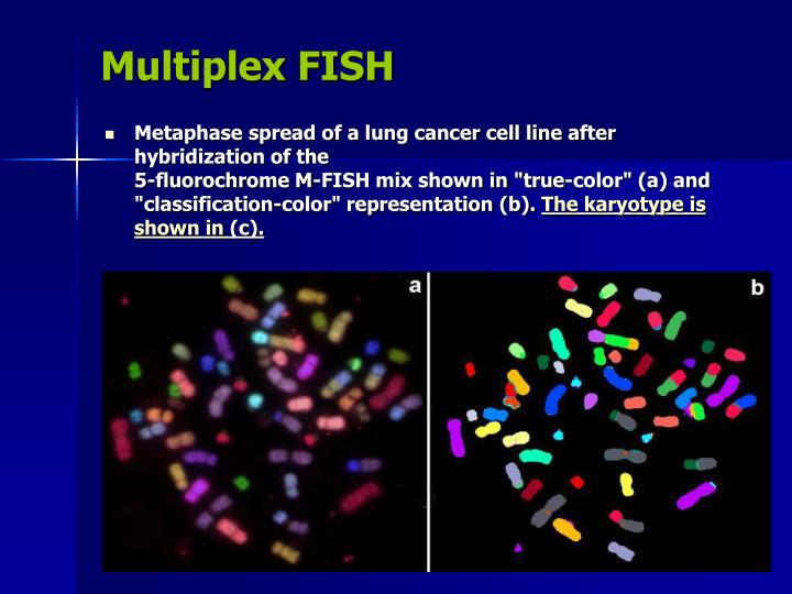 PPT - GENETIC DIAGNOSTIC METHODS PowerPoint Presentation - ID:255627