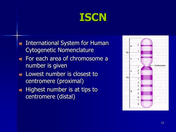 PPT - GENETIC DIAGNOSTIC METHODS PowerPoint Presentation - ID:255627
